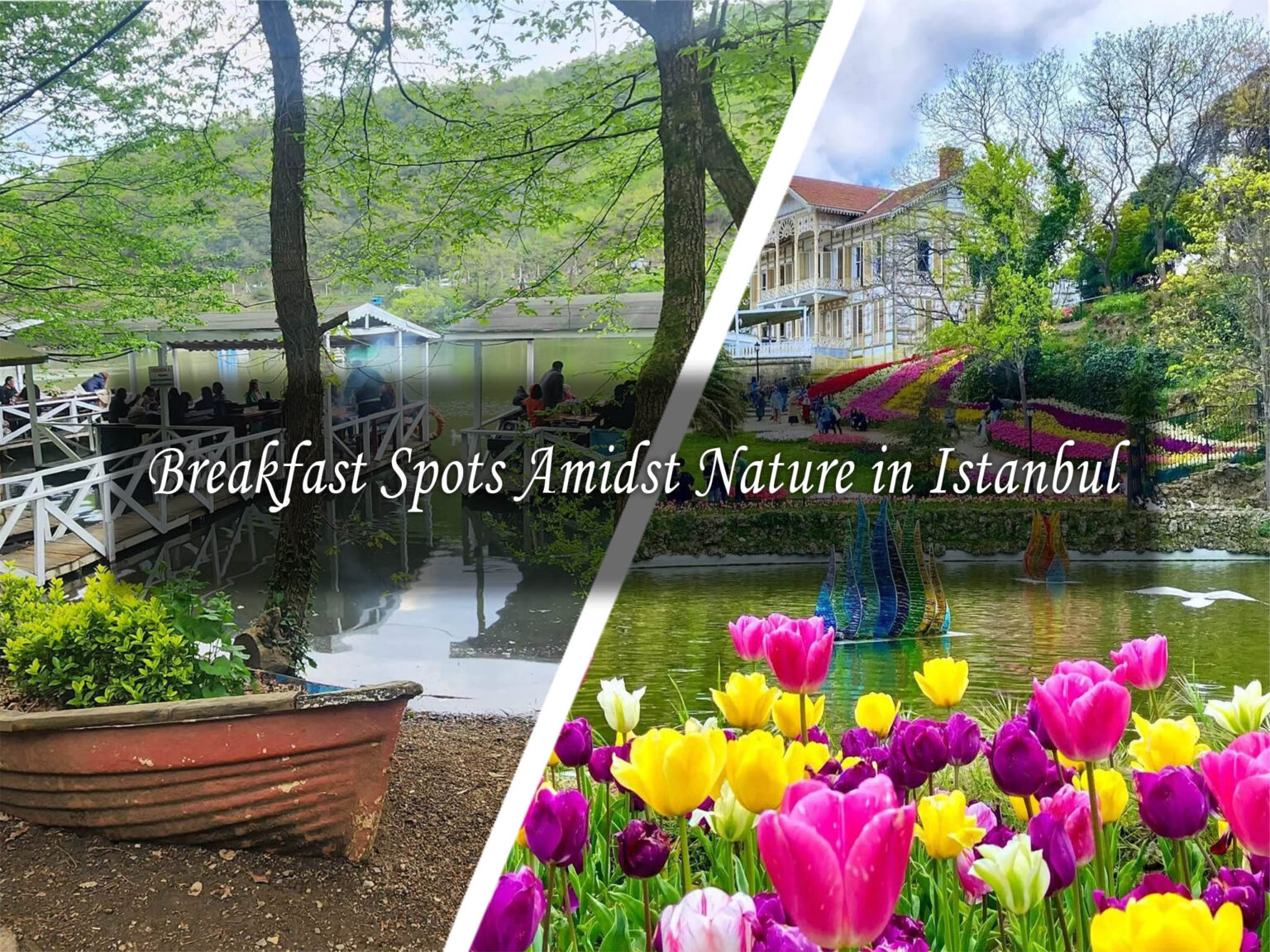 Breakfast Spots Amidst Nature in Istanbul | Top 20 Venues - Travel ...